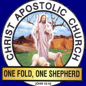 Lists of Christ Apostolic Church in Lagos Nigeria | Real MonEy Studio